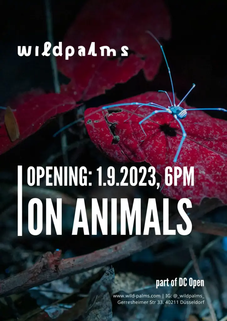 Welcome to wildpalms - wildpalms ES